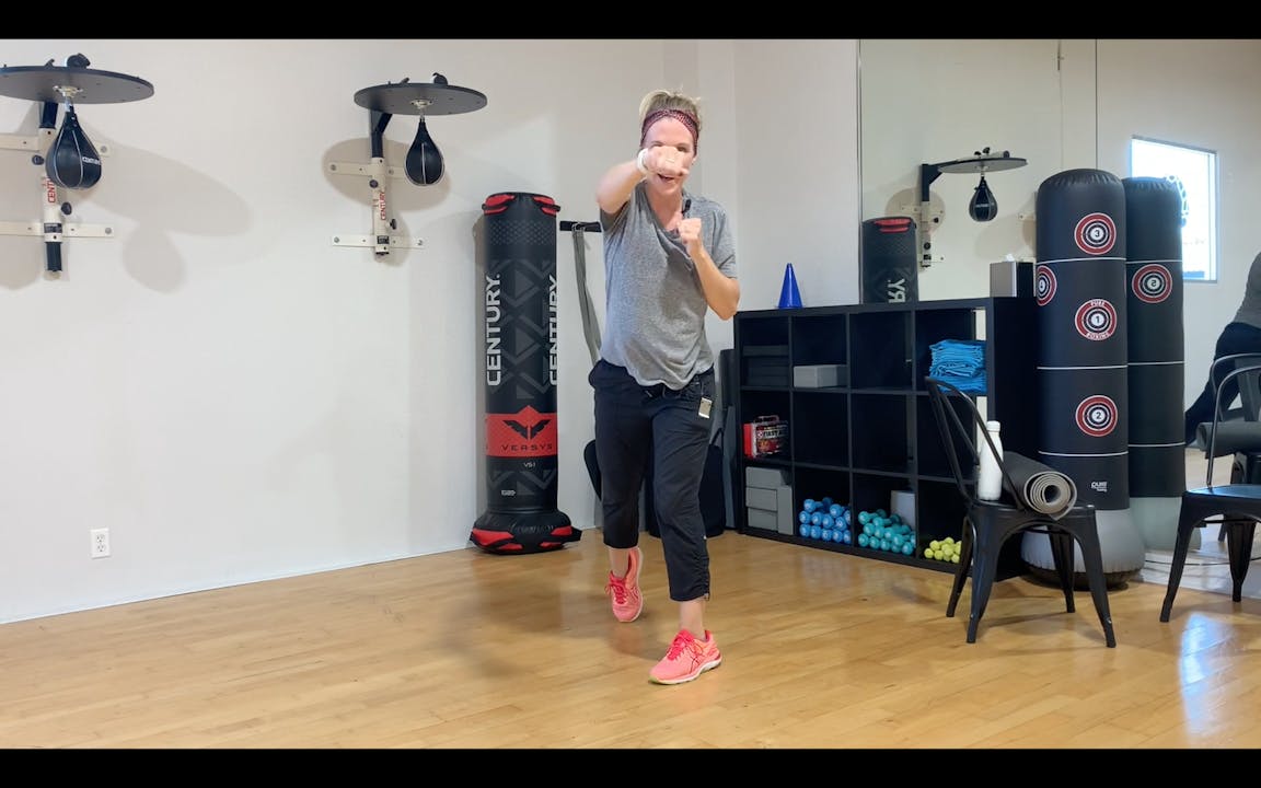 4-21-20 Boxing - April - May 2020 - Rogue In Motion