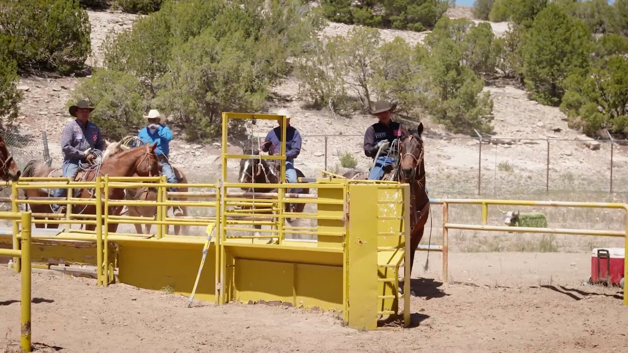 Dummy Roping Step-By-Step - Roping․com