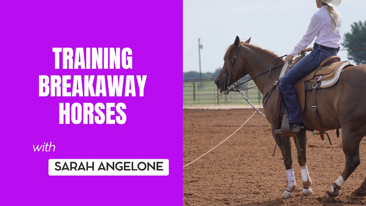 Training Breakaway Horses with Sarah Angelone - Roping․com