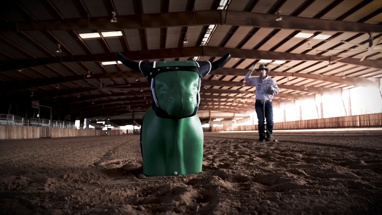 Preparing for a World Series Start on the Smarty - Roping․com