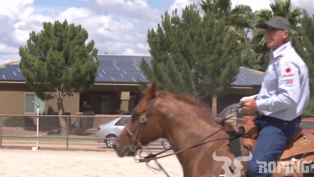 A Tip For Heelers - Roping․com