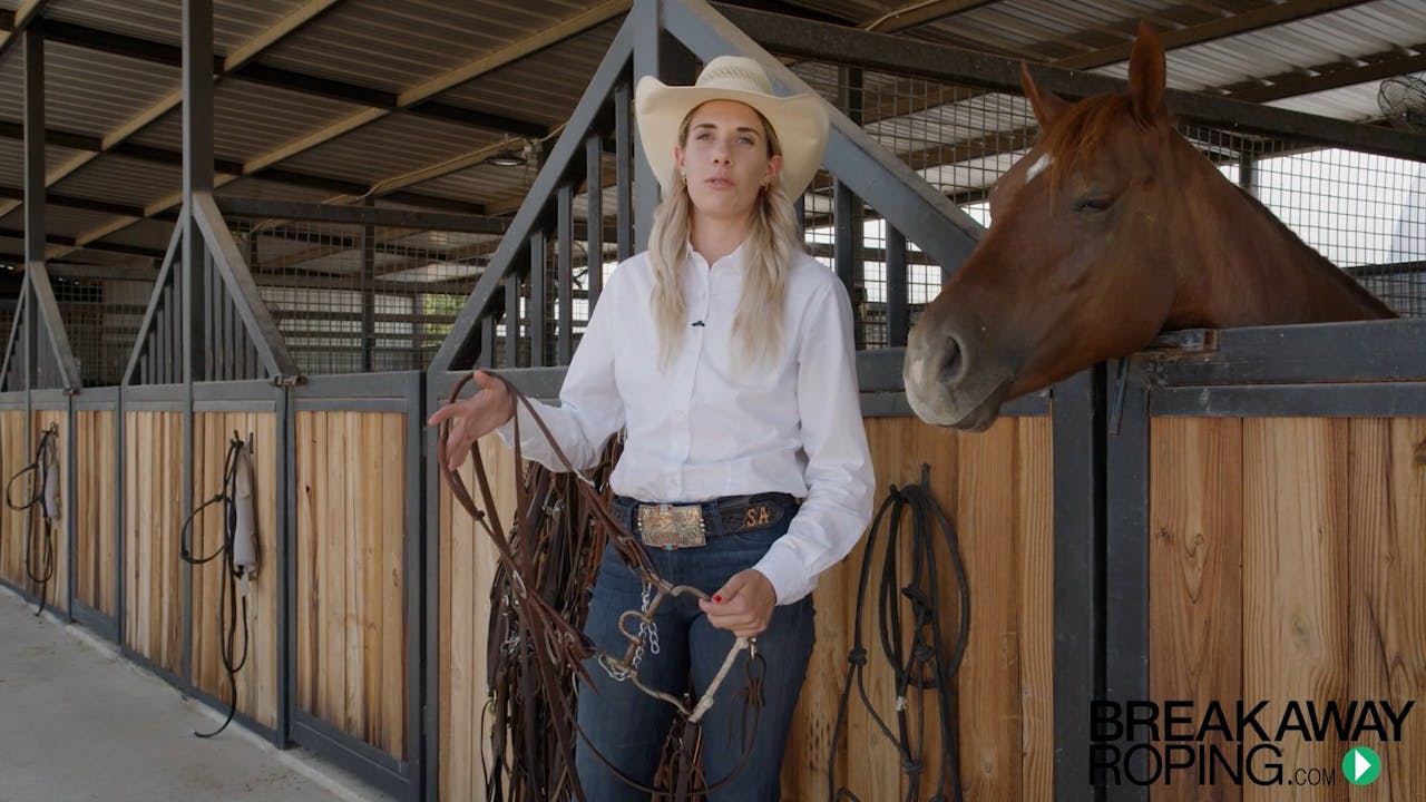 Bits for Breakaway Horses at all Stages of Training - Roping․com