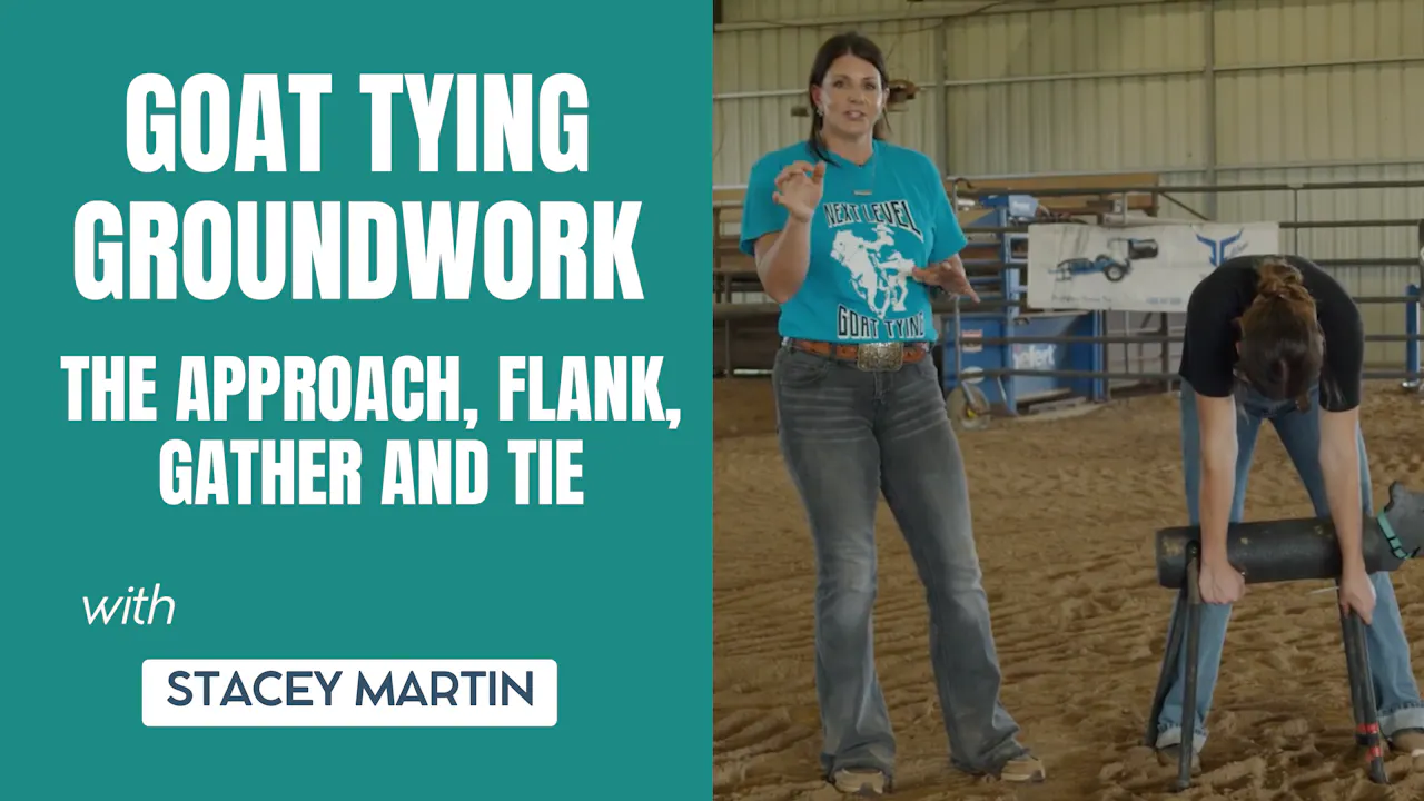 Goat Tying Groundwork- The Approach, Flank, Gather and Tie - Roping․com