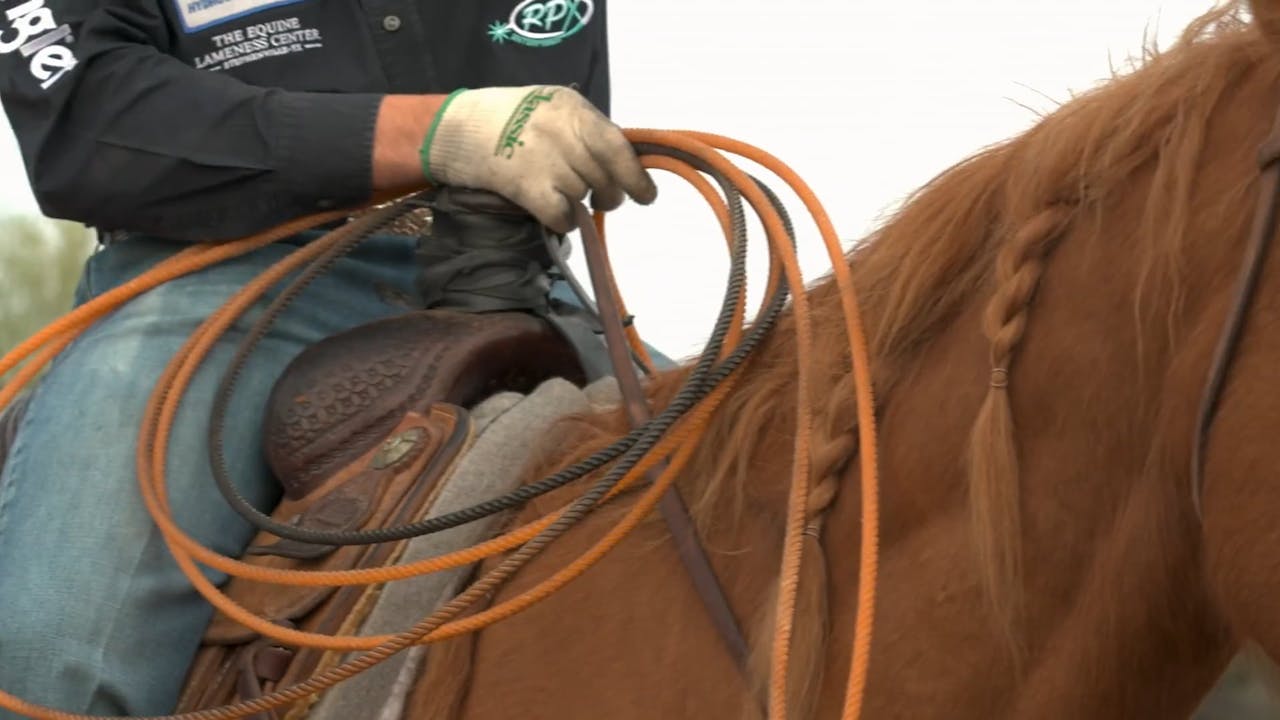 Welsey Thorp: At The Barrier - Roping․com