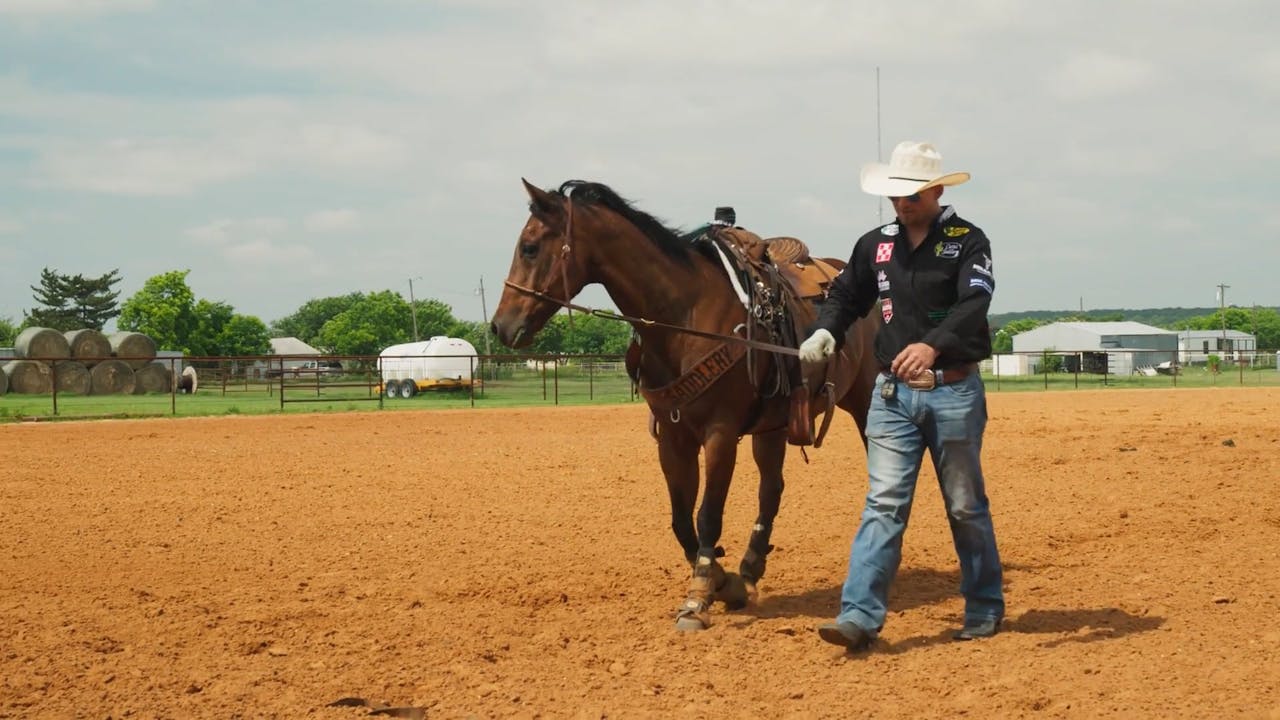 The $2,700 NFR Horse: Levi Lord's LB - Roping․com