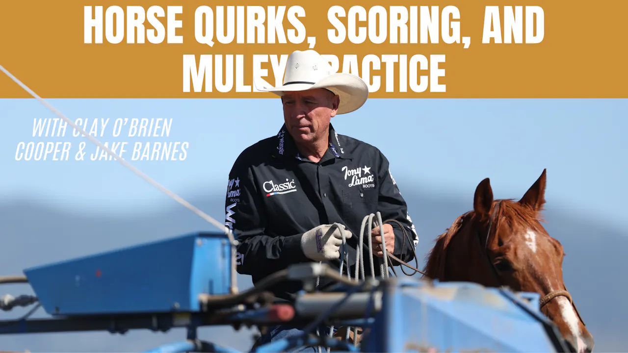 Horse Quirks, Scoring, and Muley Practice - Barnes & Cooper: Inside the ...