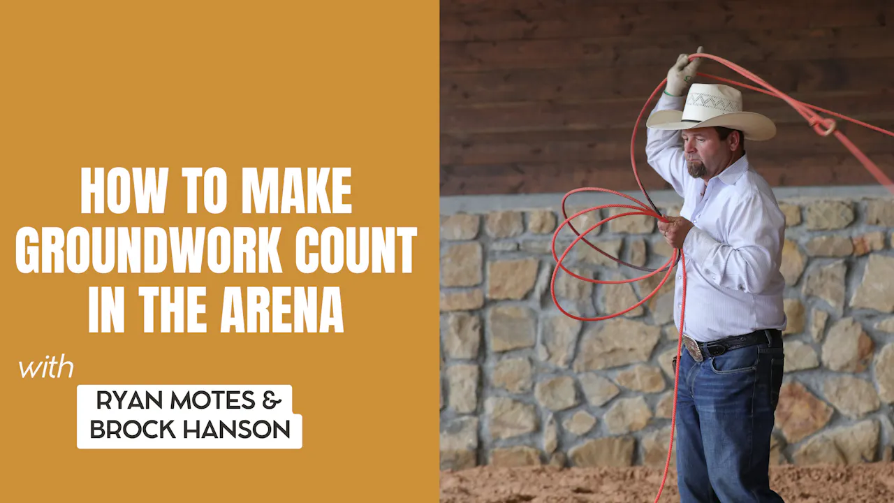 How to Make Groundwork Count in the Arena - Practice Smarter: Roping ...