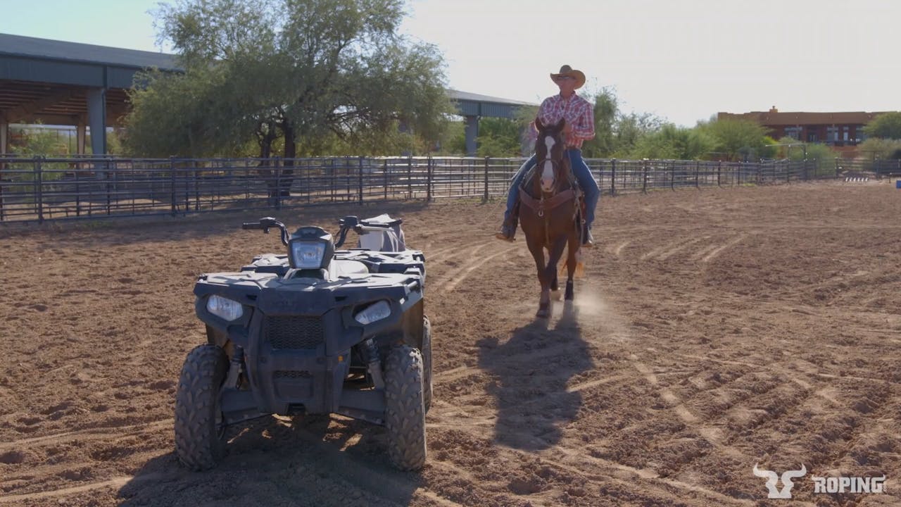 Beginner | Basics of the Dally on the Machine - Roping․com