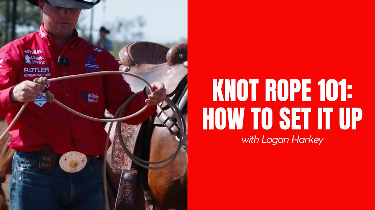 Knot Rope 101: How to Set It Up - Roping․com