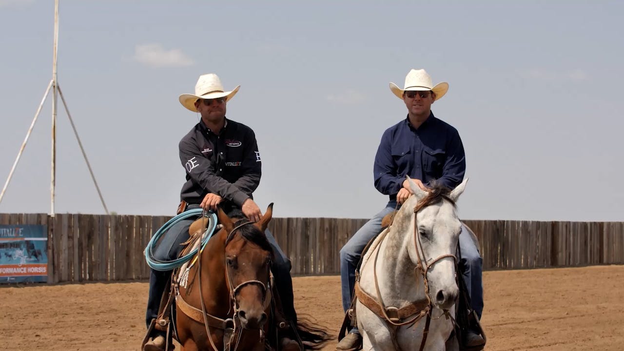 Using a Breakaway Hondo on a Young Head Horse (PART 2) - Roping․com