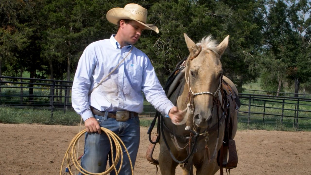 Essential Tie-Down Roping Gear - Roping․com