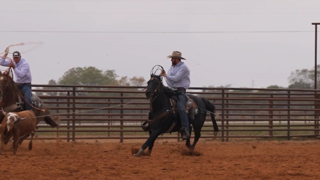 2022 NFR Steer Break-In | Day 2 | Full Session - Roping․com