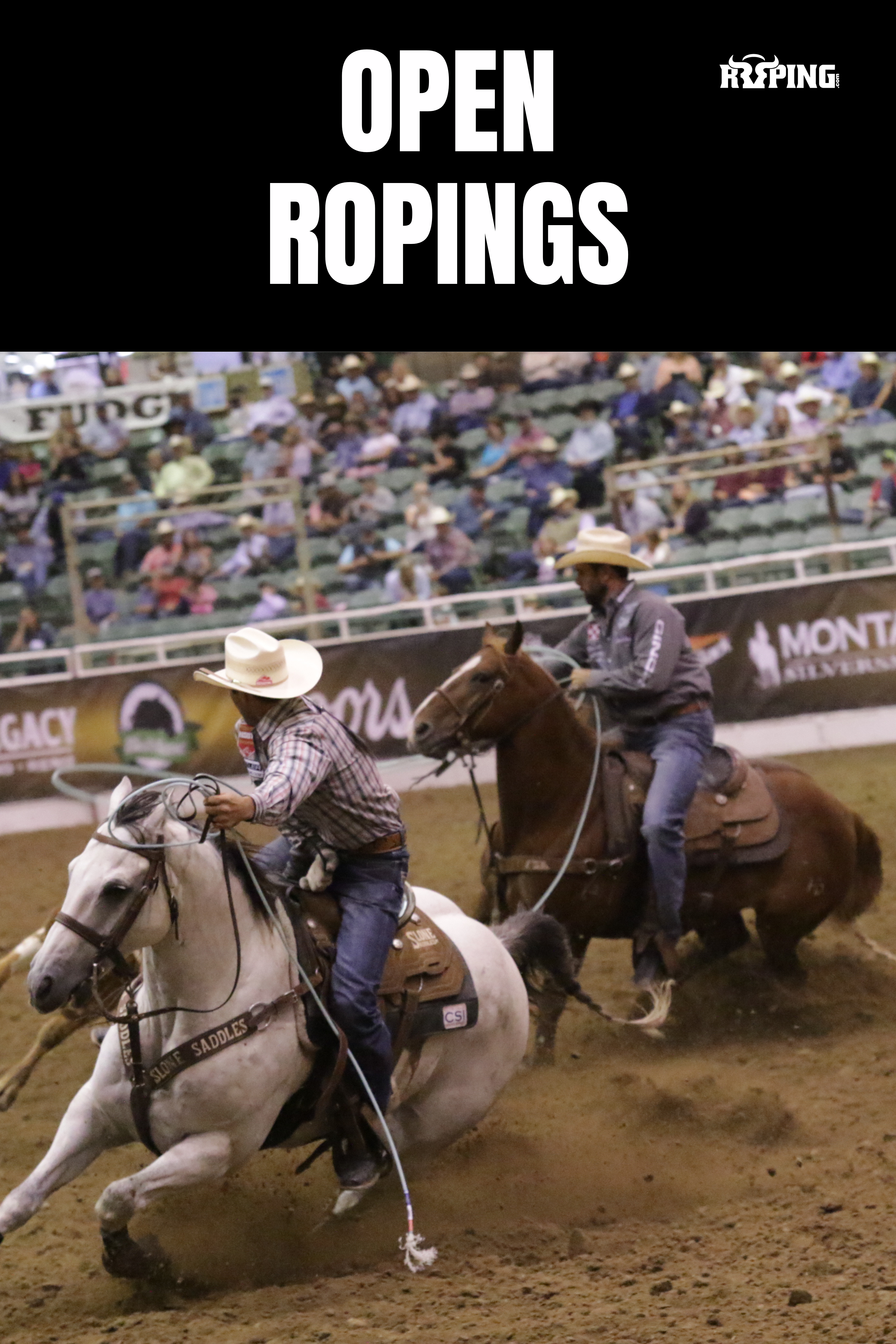 Open Ropings - Roping․com