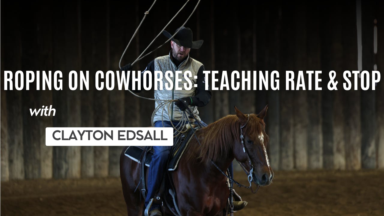 Roping On Cowhorses: Teaching Rate and Stop with Clayton Edsall ...
