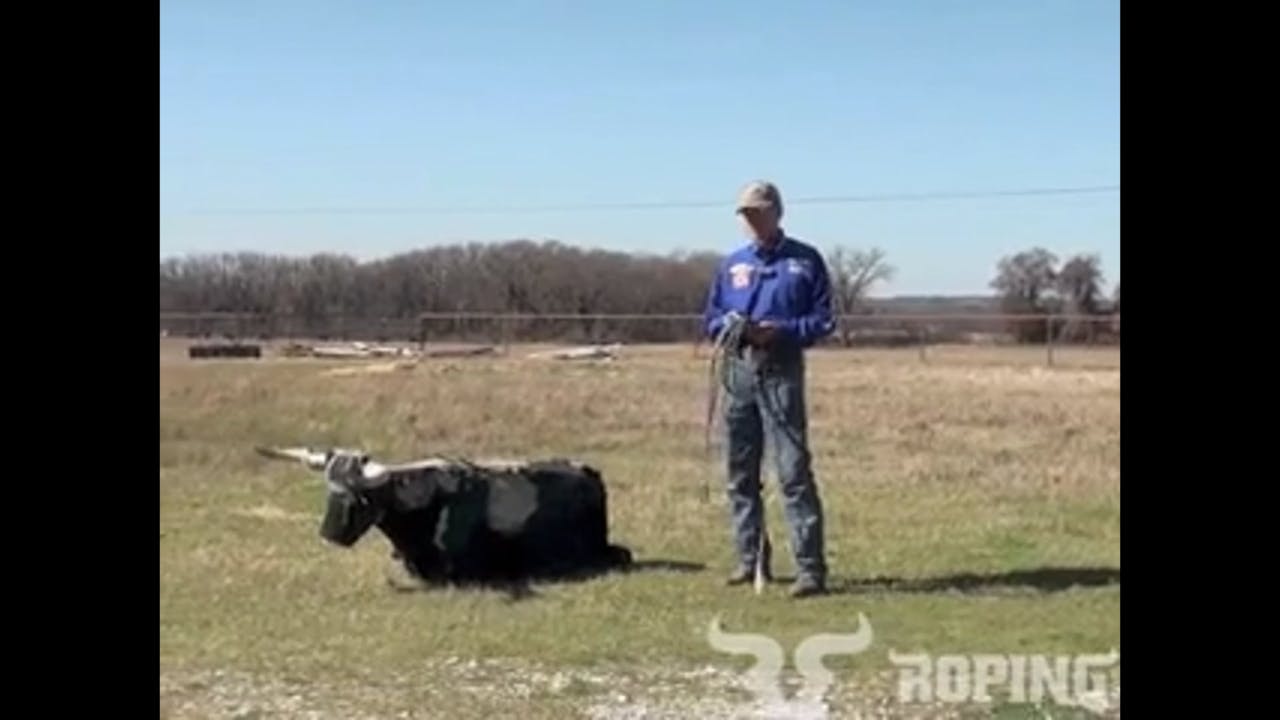 The Important Left Hand - Roping․com