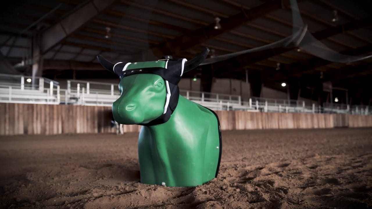 Heading Fundamentals on the Smarty - Roping․com