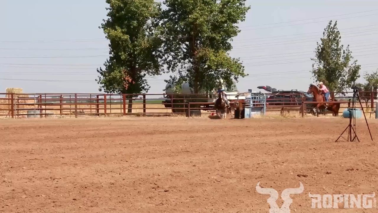 Tip Control - Roping․com