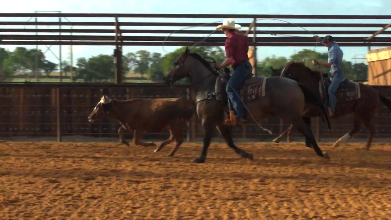 Practice Session | 2021 ARHFA World Champion Born In The Boondocs ...