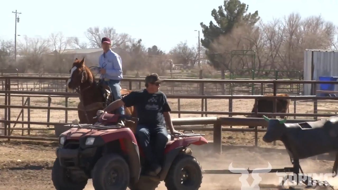 The Importance Of Position On The Sled - Roping․com