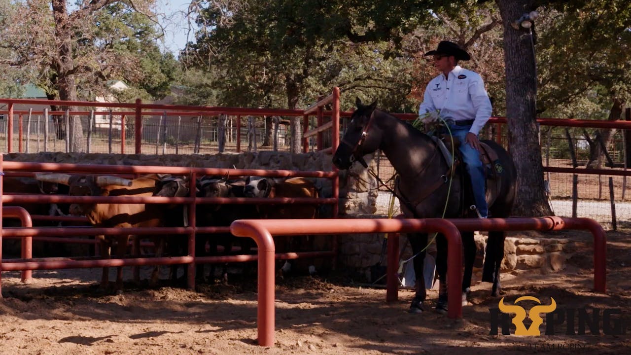 Solid Horse Practice Session w/ RayBan View - Team Roping Practice ...