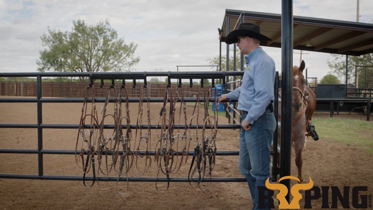 Bits and Tie-Downs for all Stages of Training - Roping․com