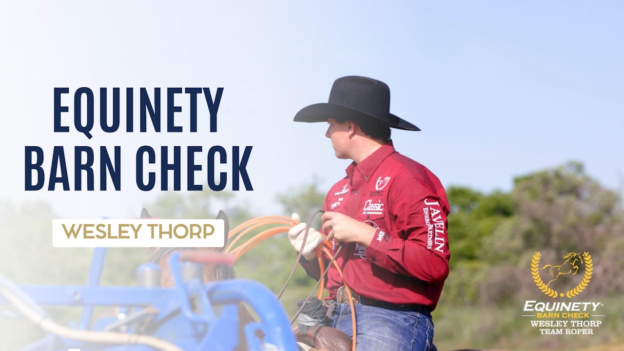 Wesley Thorp Equinety Barn Check - Equinety Barn Checks - Roping․com