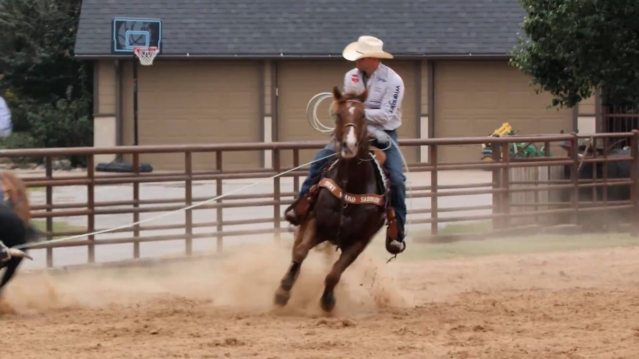 Seeing the Start in the Practice Pen - Roping․com