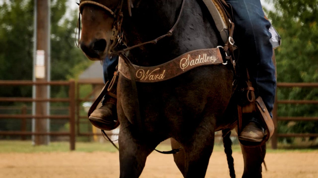 Travis Graves and Dustin Egusquiza on Roping.com - Roping․com