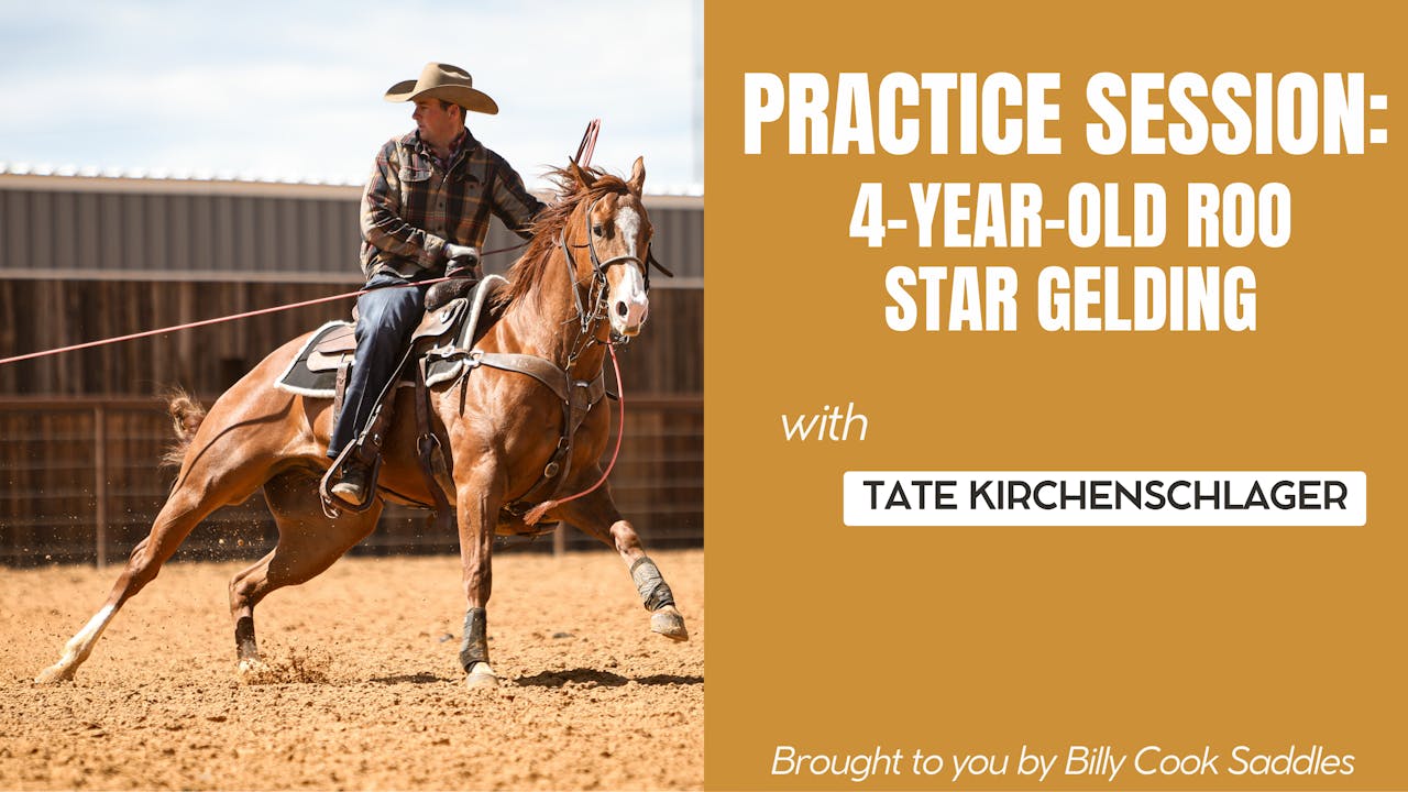 Practice Session: 4-Year-Old Roo Star Gelding - Roping․com