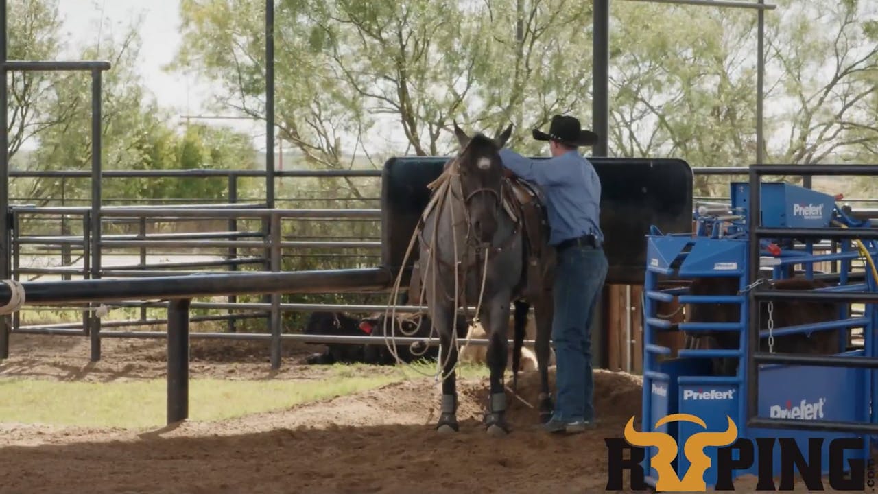 Scored Components in the Calf Roping and Keys to Training a Solid Foundation - Roping․com