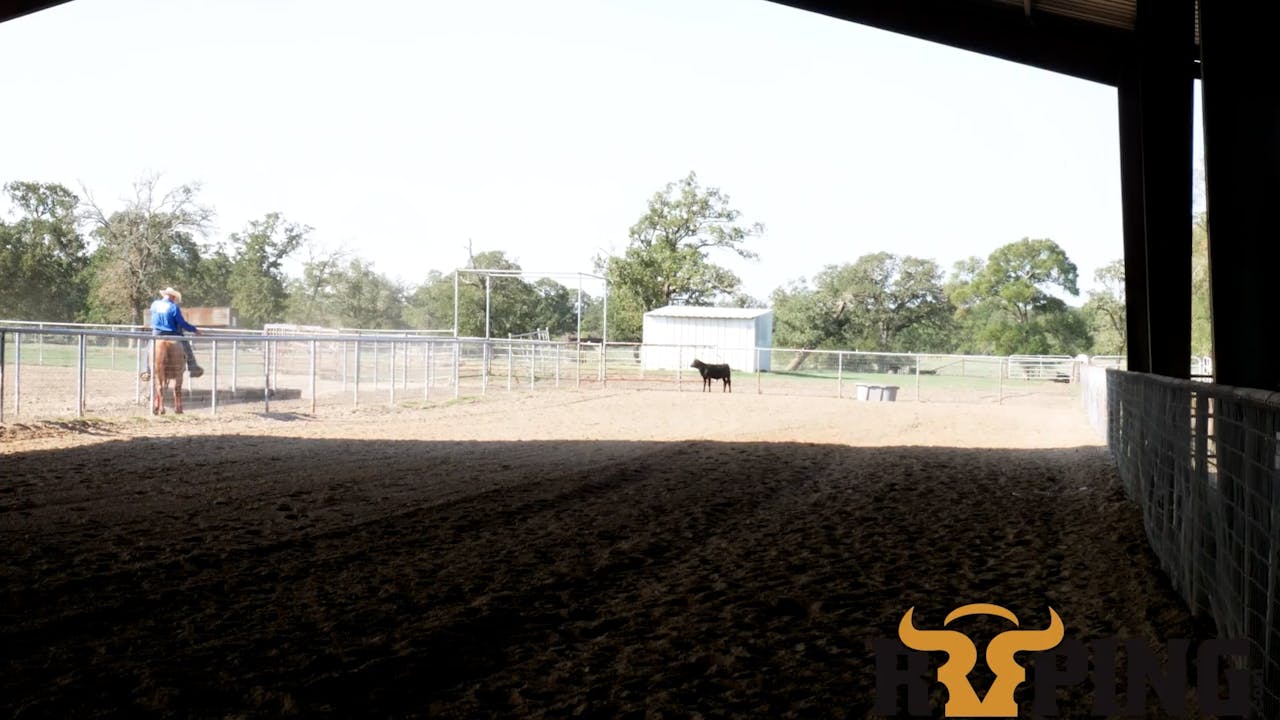 Pen Roping on a Calf Horse - Roping․com