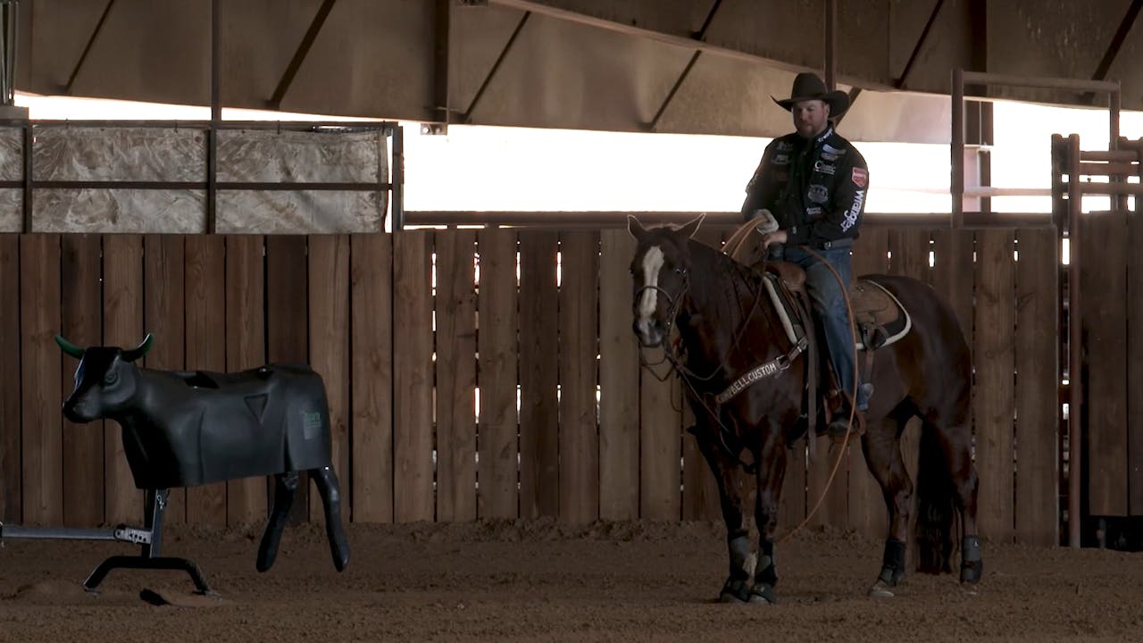 Green Horse Reminders on the Smarty - Roping․com