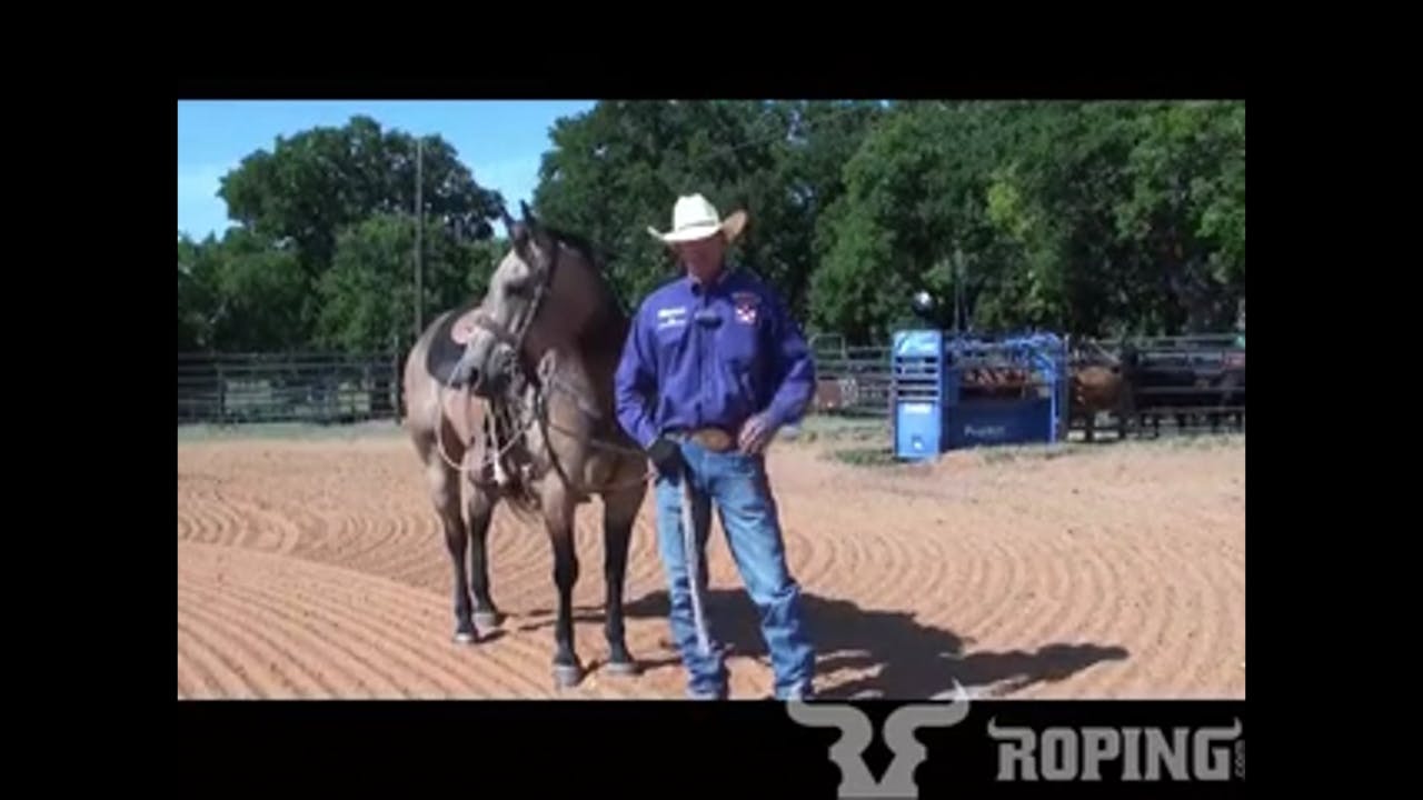 In-the-Box Horsemanship - Roping․com