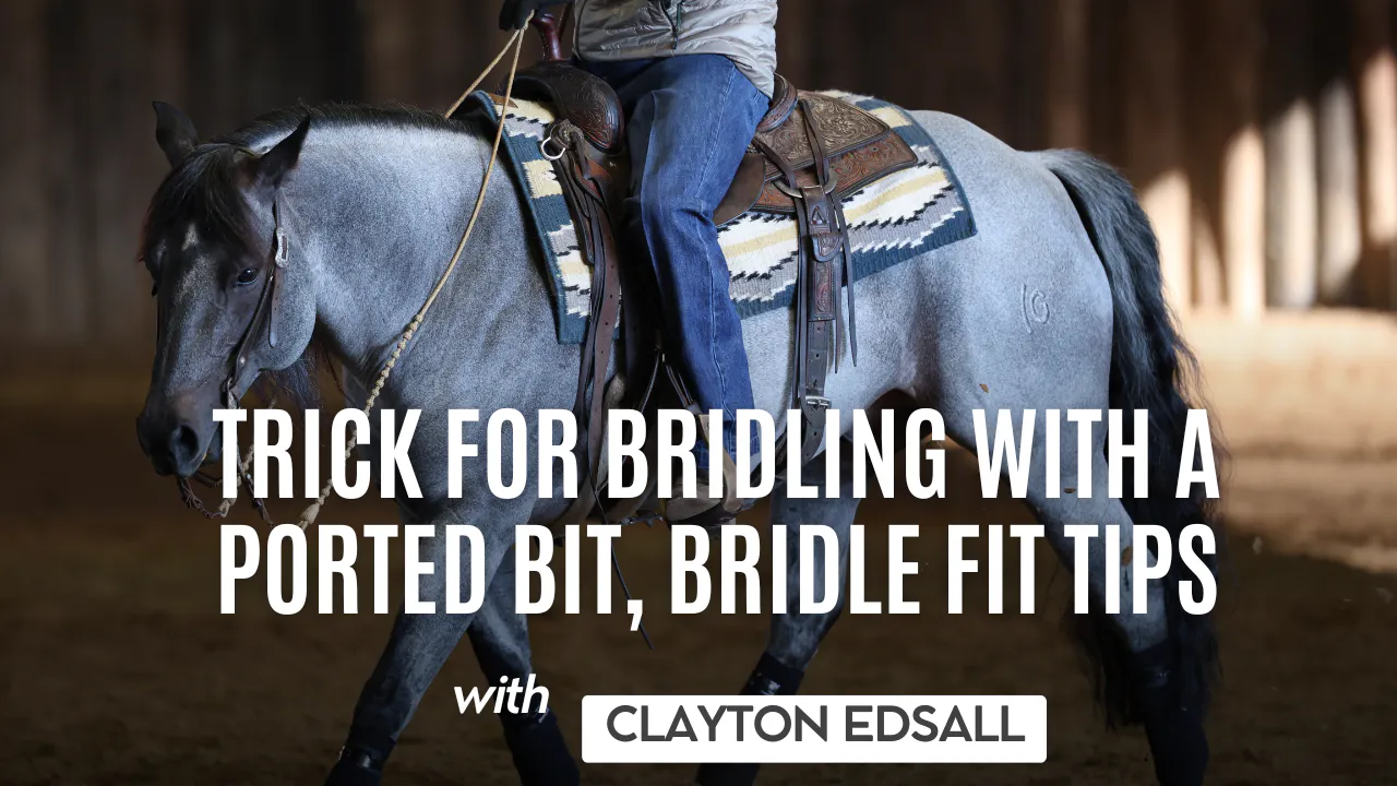 Trick for Bridling with a Ported Bit, Bridle Fit Tips - Making it to a ...