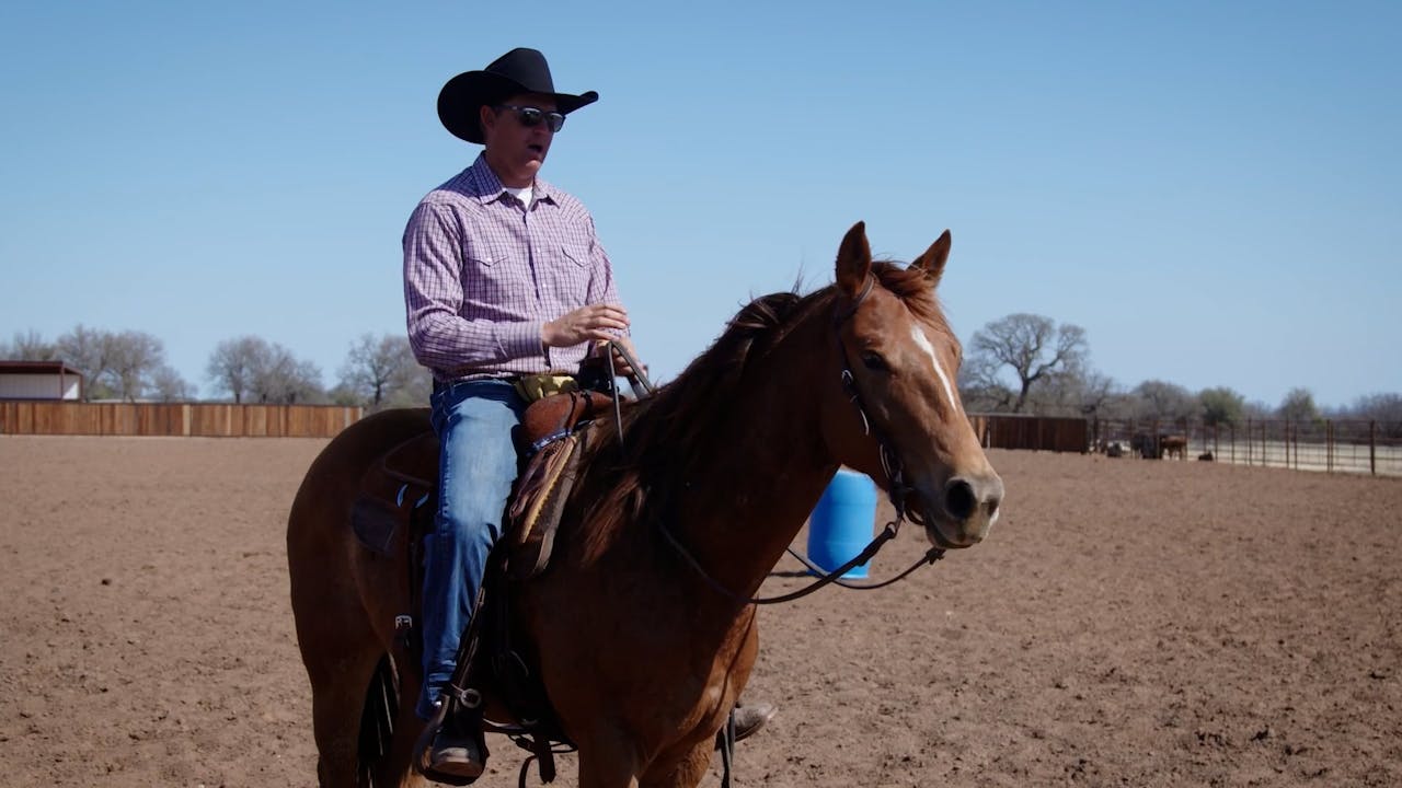 Using Your Hands and Feet Correctly When Riding Colts - Roping․com