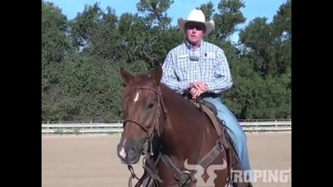 Warm Your Horse Up Correctly - Roping․com
