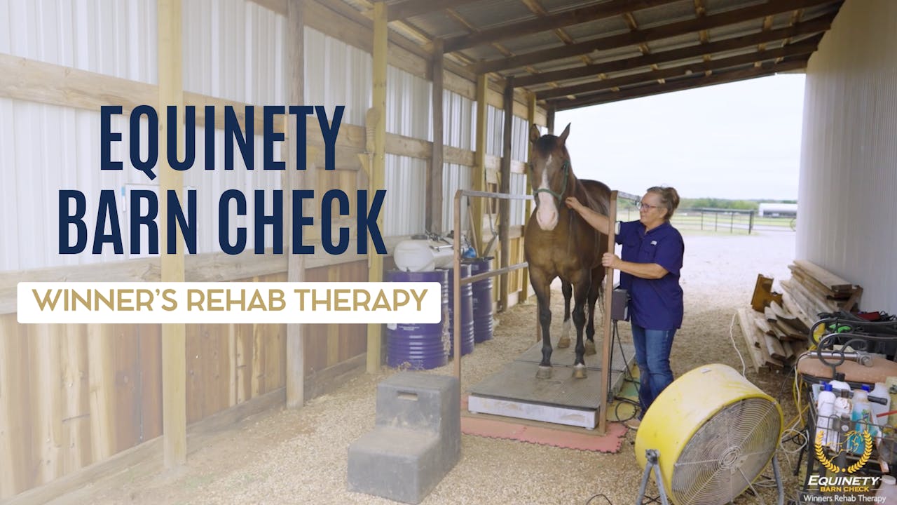 Danita Walker's Equinety Barn Check - Equinety Barn Checks - Roping․com