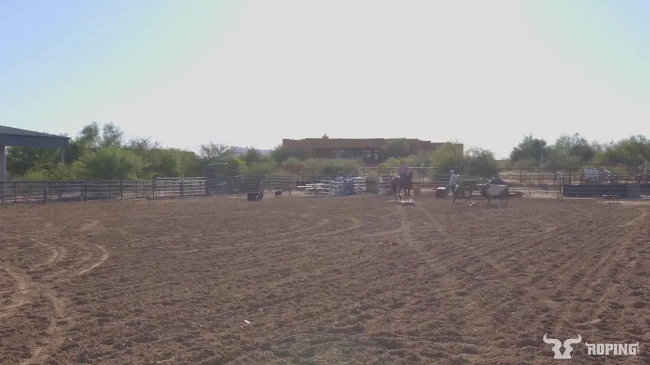 Beginner | Learning to Follow The Steer Out of the Box - Roping․com