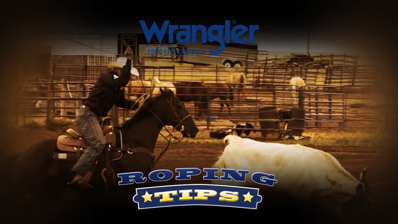 Keeping Your Heel Horse Listening to Your Left Hand - Roping․com