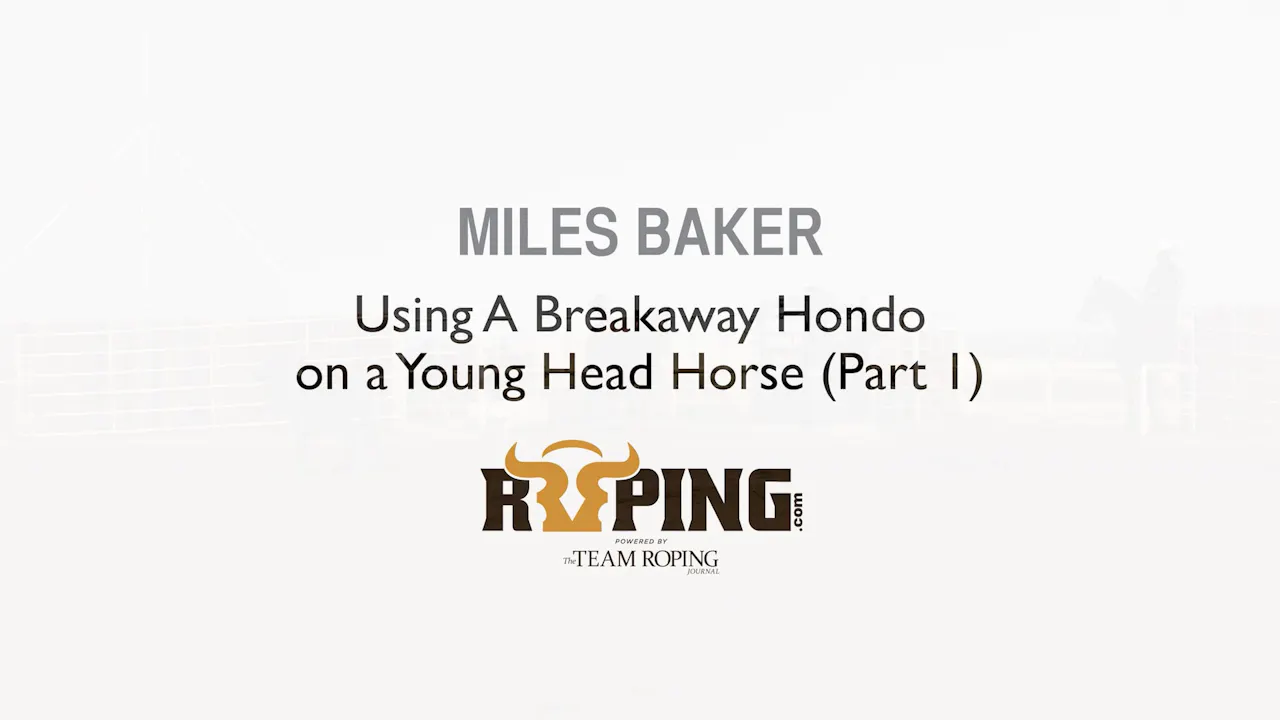 Using A Breakaway Hondo on a Young Head Horse (Part 1) - Roping․com