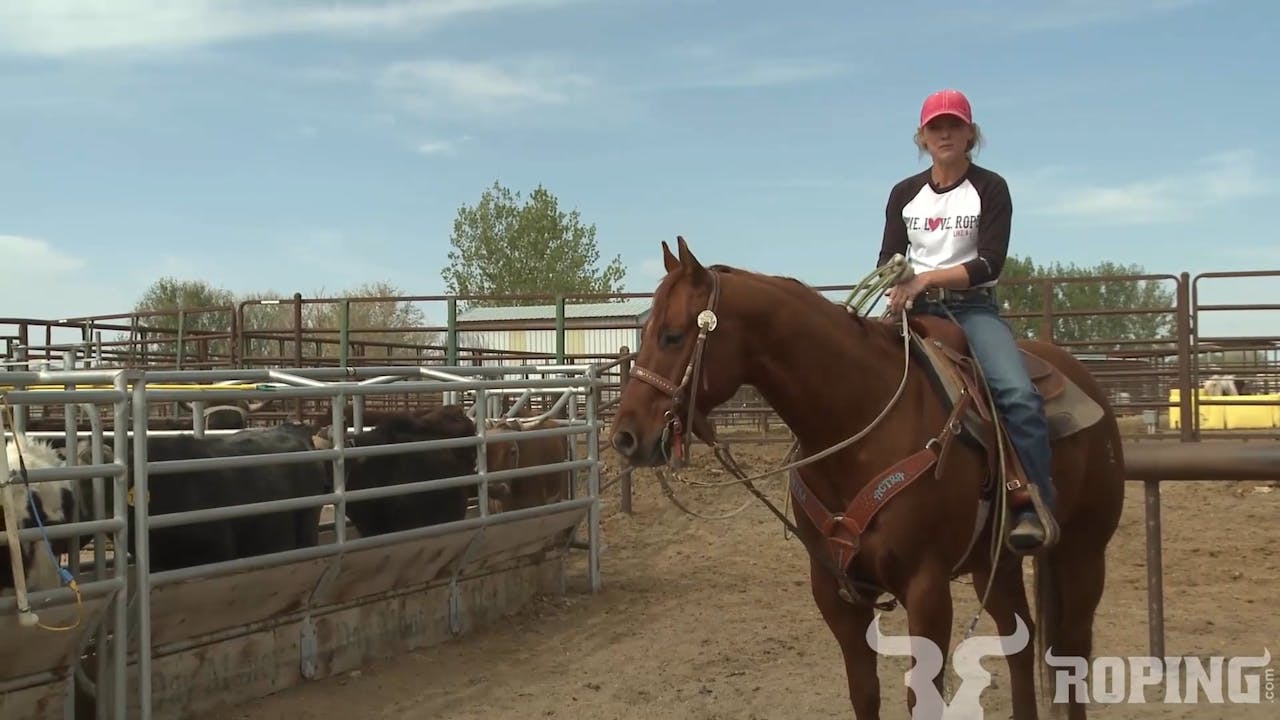 Safety In The Box: Non-Verbal Communication - Roping․com
