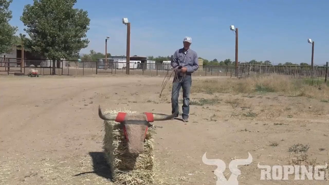 Tips For Reading Cattle [MS] - Roping․com