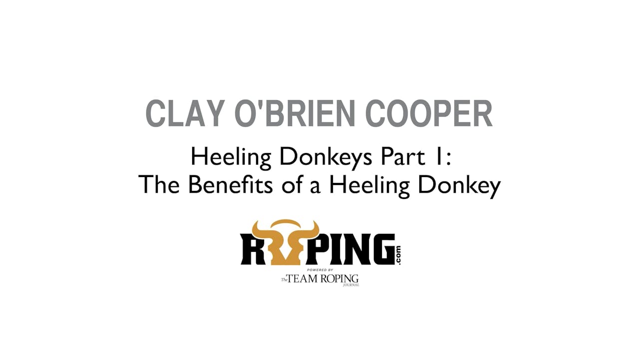 Heeling Donkeys Part 1: The Benefits of a Heeling Donkey - Roping․com