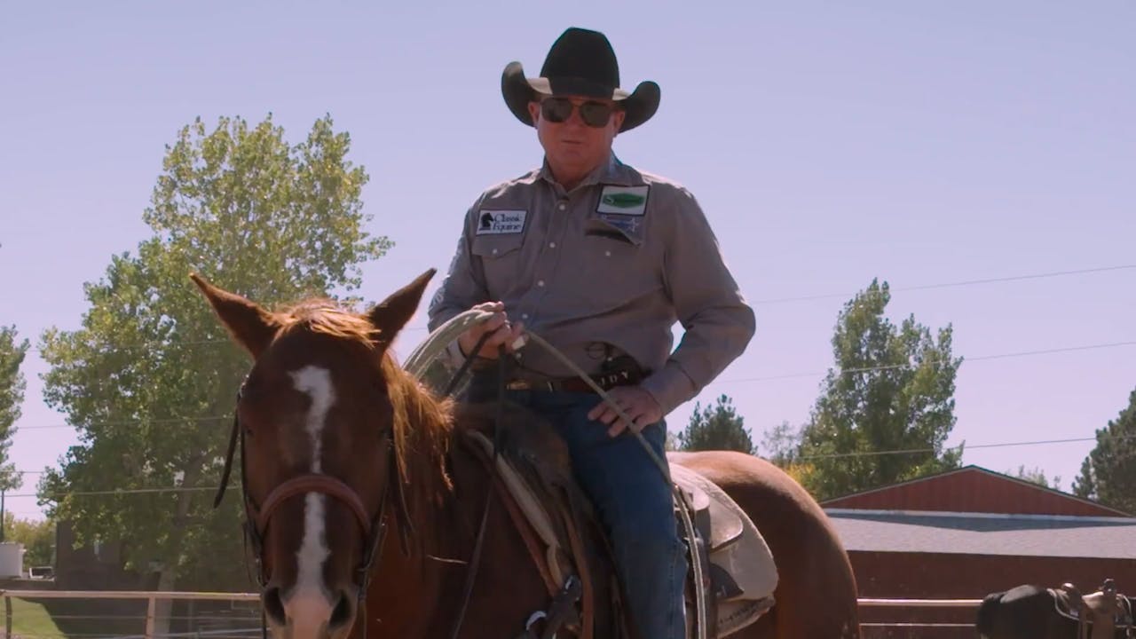 Scoring and Facing Work on a 5-Year-Old Race-Bred Gelding - Roping․com