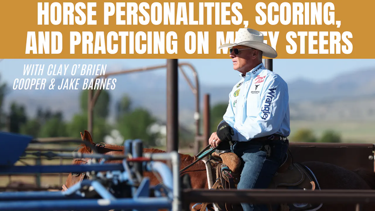 Horse Personalities, Scoring, and Practicing on Muley Steers - Barnes ...