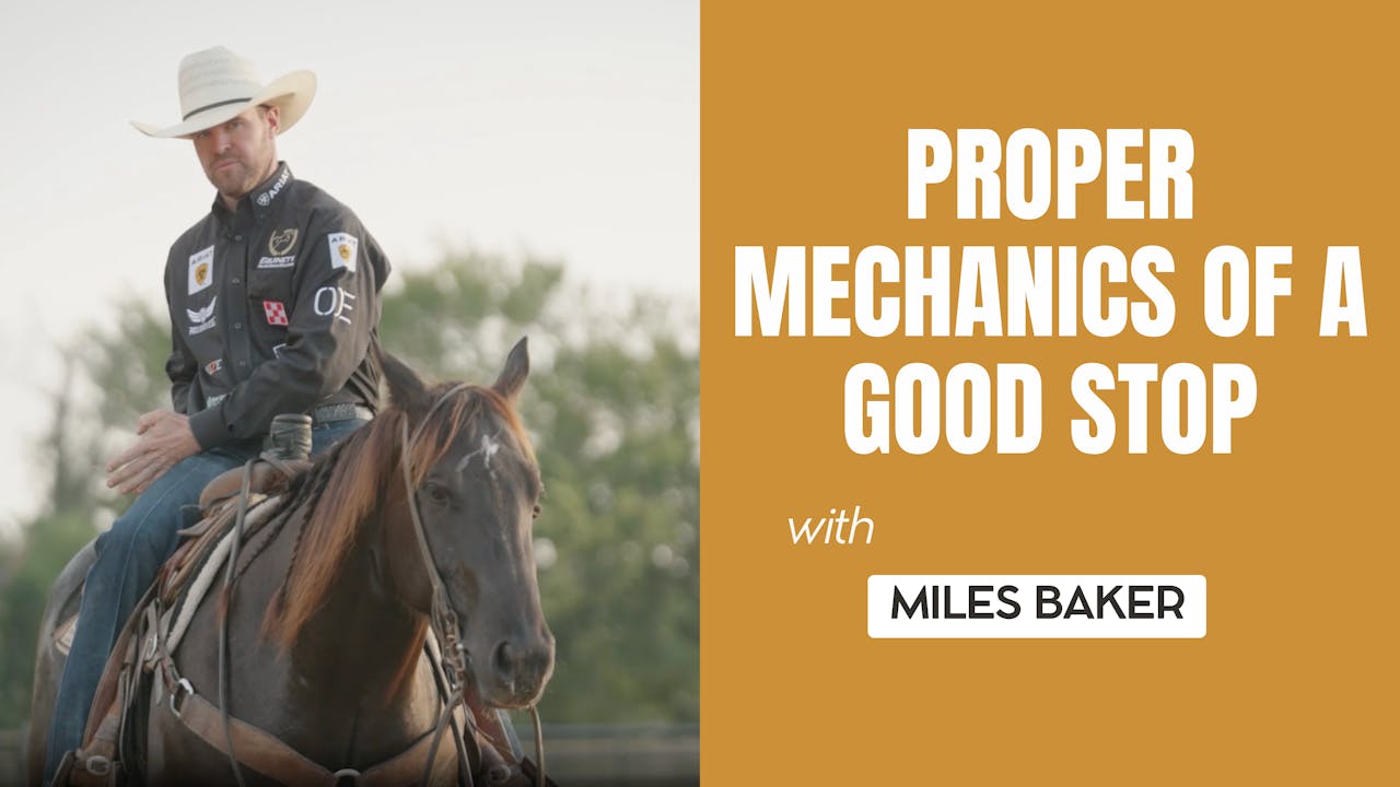 Proper Mechanics of a Good Stop - Roping․com