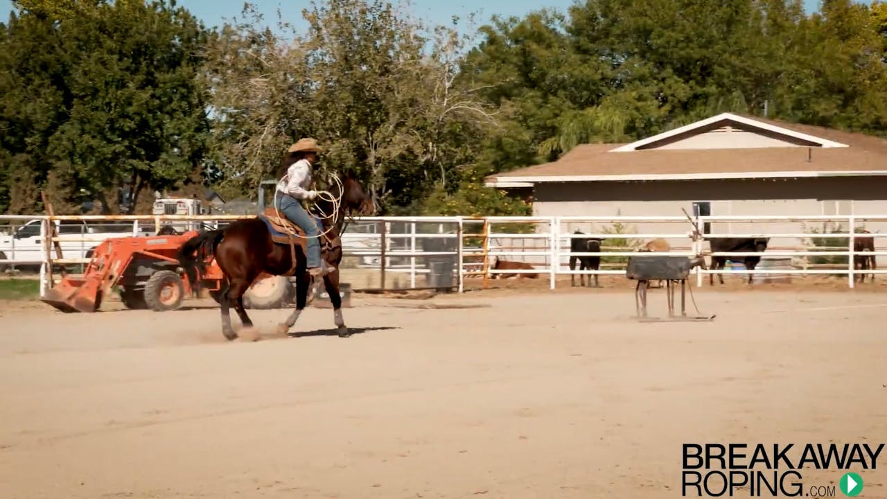 Training Session on the Sled - Roping․com