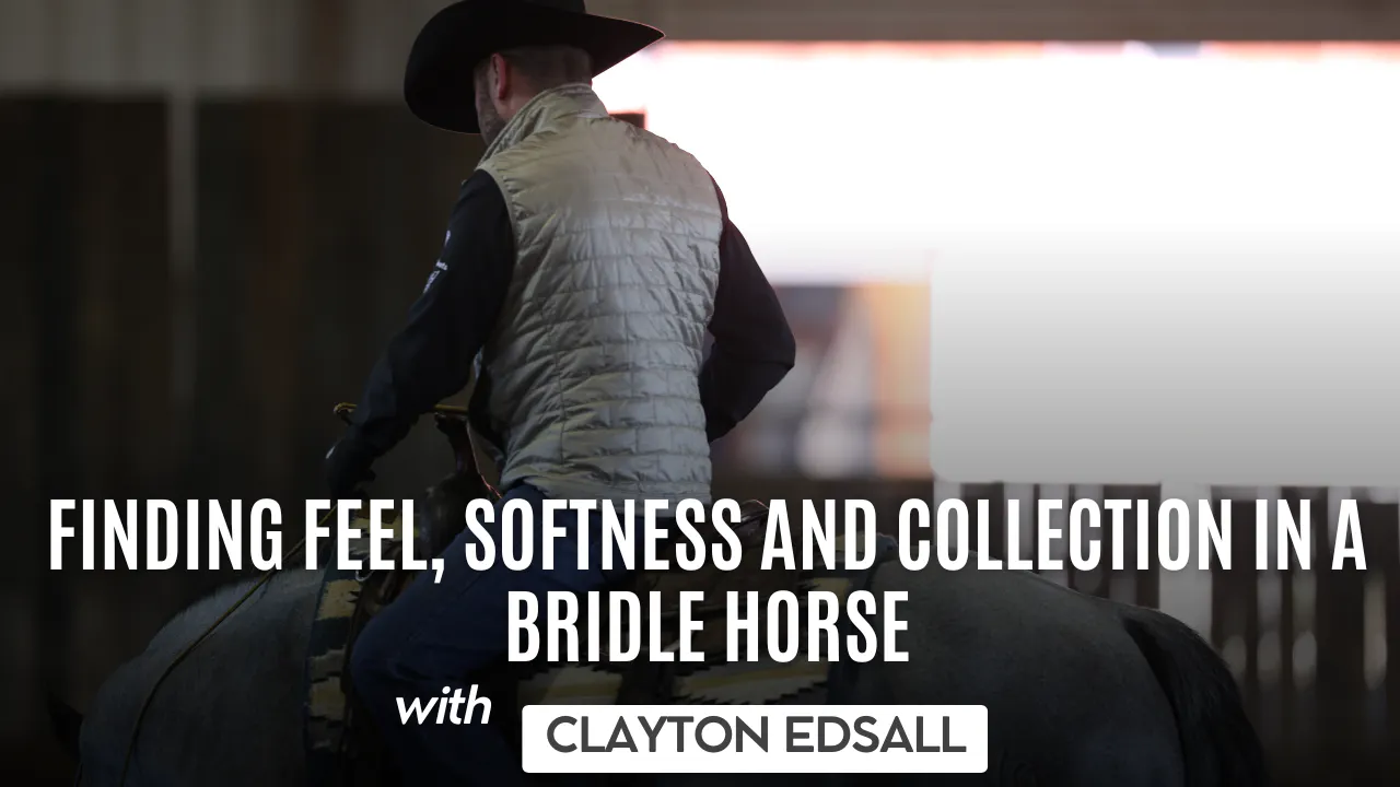 Finding Feel, Softness and Collection in a Bridle Horse - Making it to ...