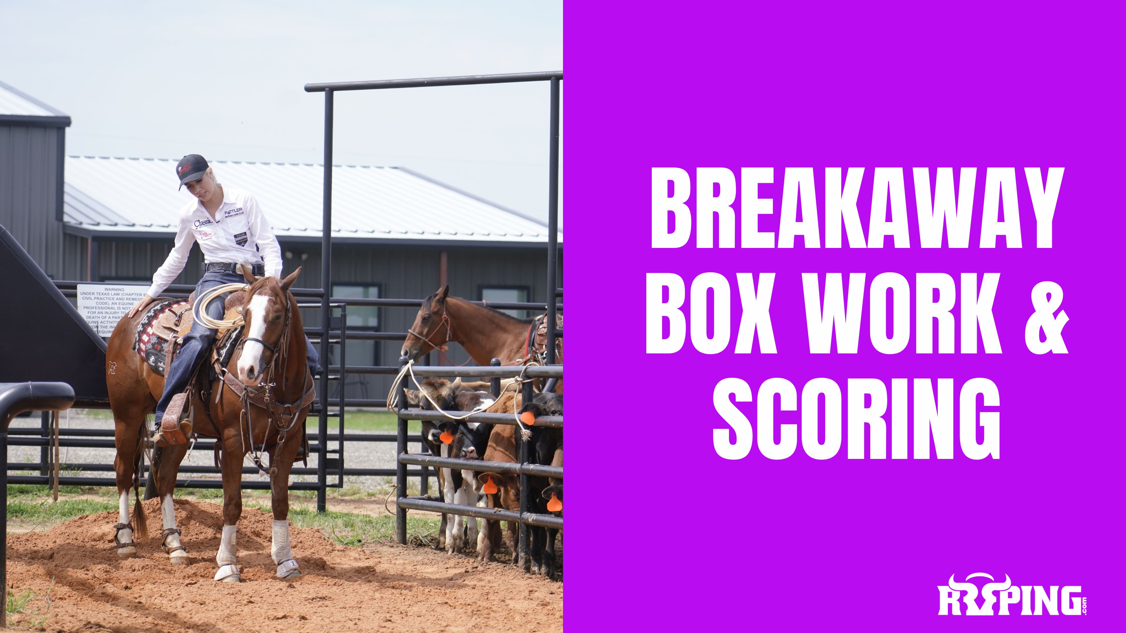 Breakaway Box Work & Scoring - Roping․com