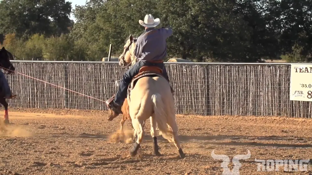 Roping For Your Horse - Drill To Keep Your Horse Light In The Corner ...